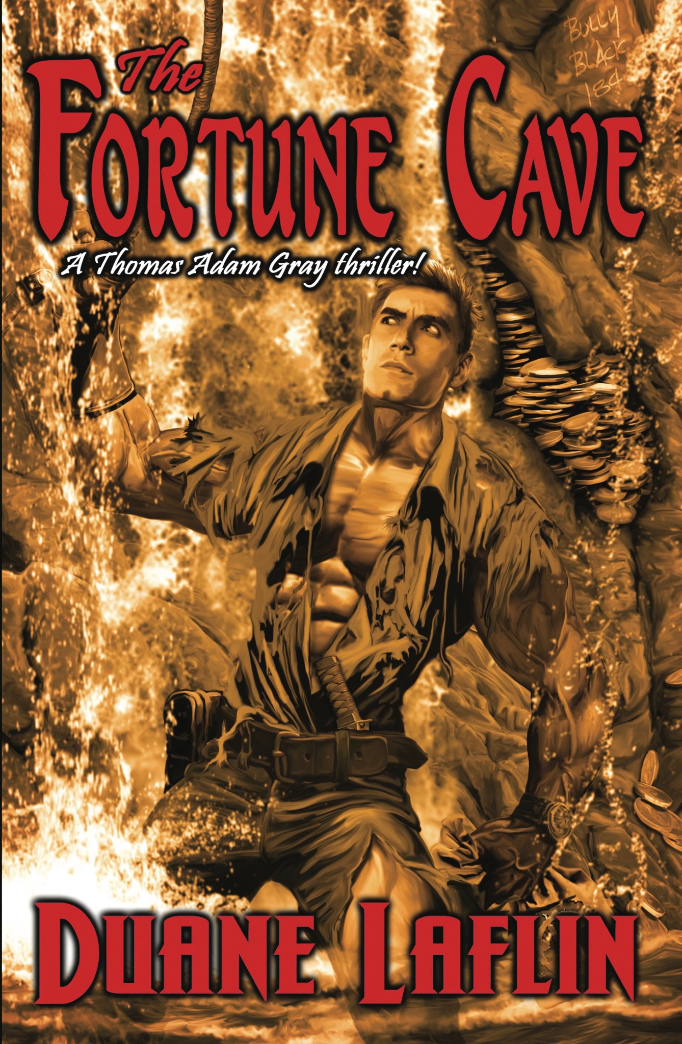 THOMAS ADAM GRAY SERIES – Duane Laflin Books!